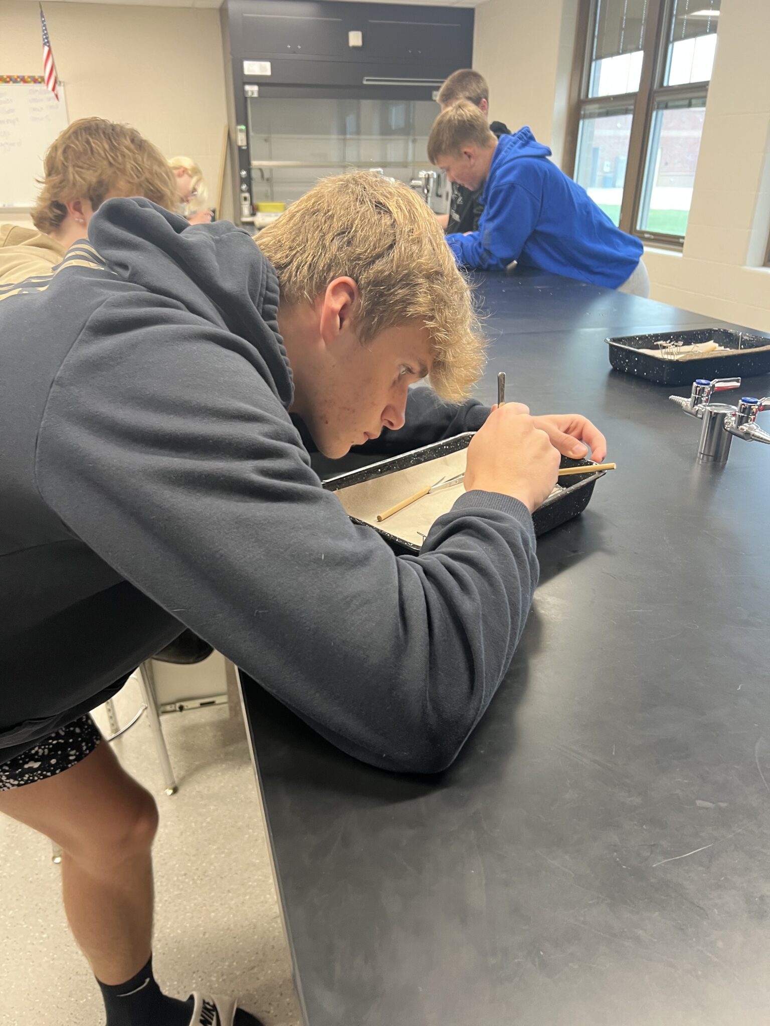 Digging Into Dissection🔬 – Chippewa Local Schools