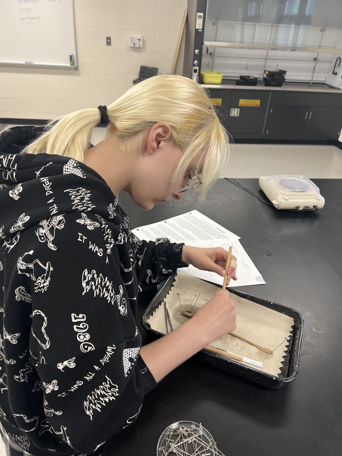 Digging Into Dissection🔬 – Chippewa Local Schools